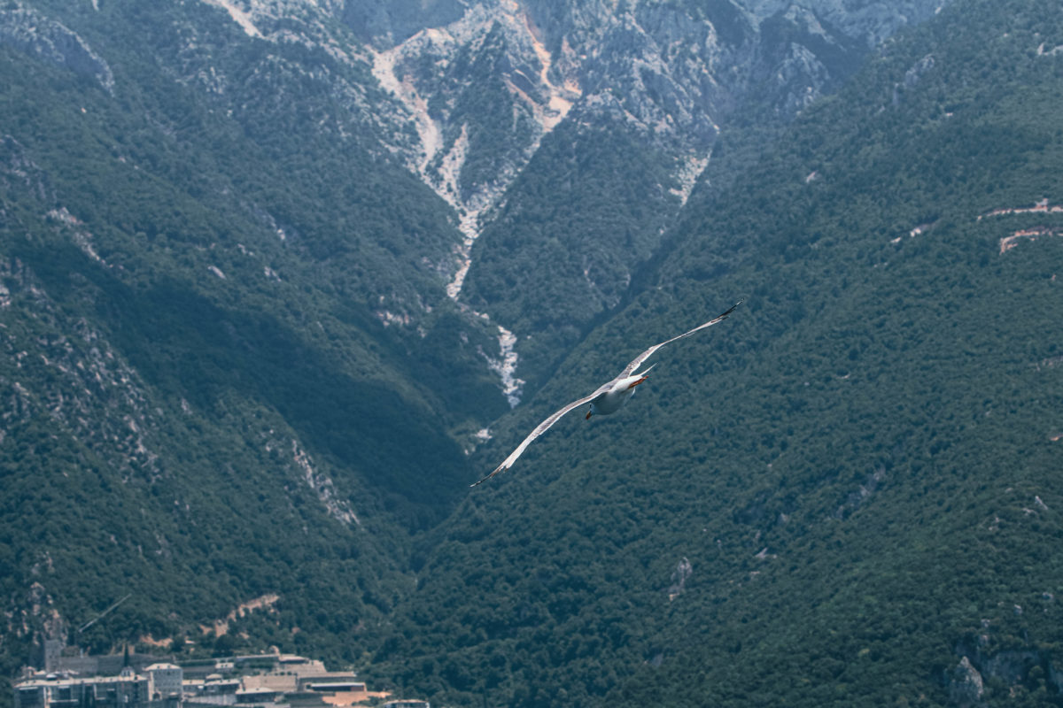 Classic Mount Athos Cruise - Athos Cruise